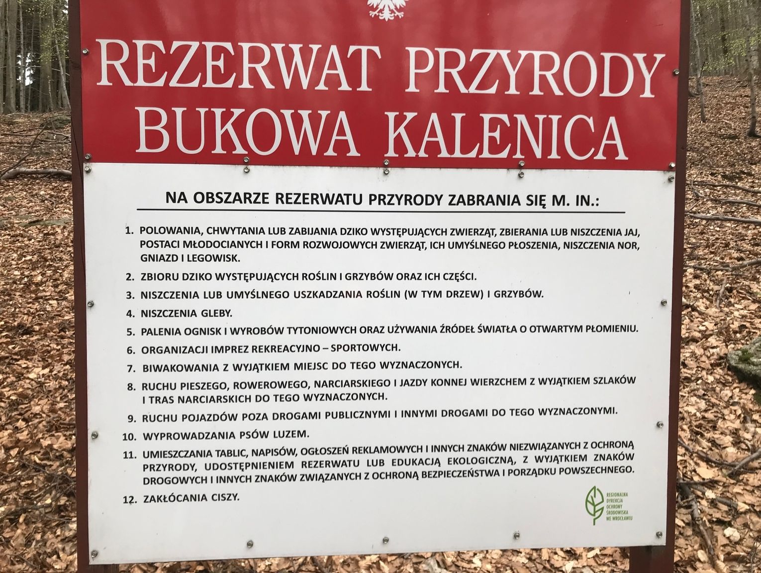 REZERWAT PRZYRODY BUKOWA KALENICA